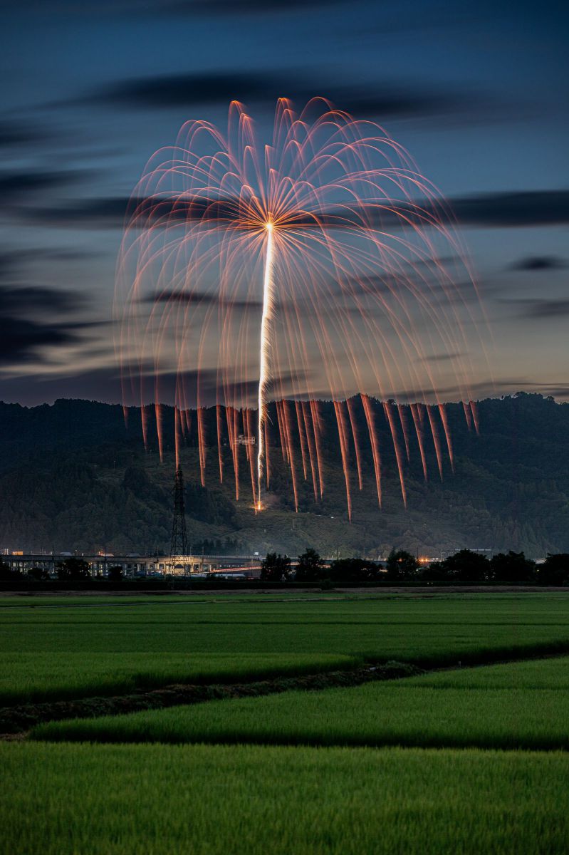 𝚕𝚊𝚛𝚐𝚎 𝚠𝚒𝚕𝚕𝚘𝚠 𝚏𝚒𝚛𝚎 | GANREF