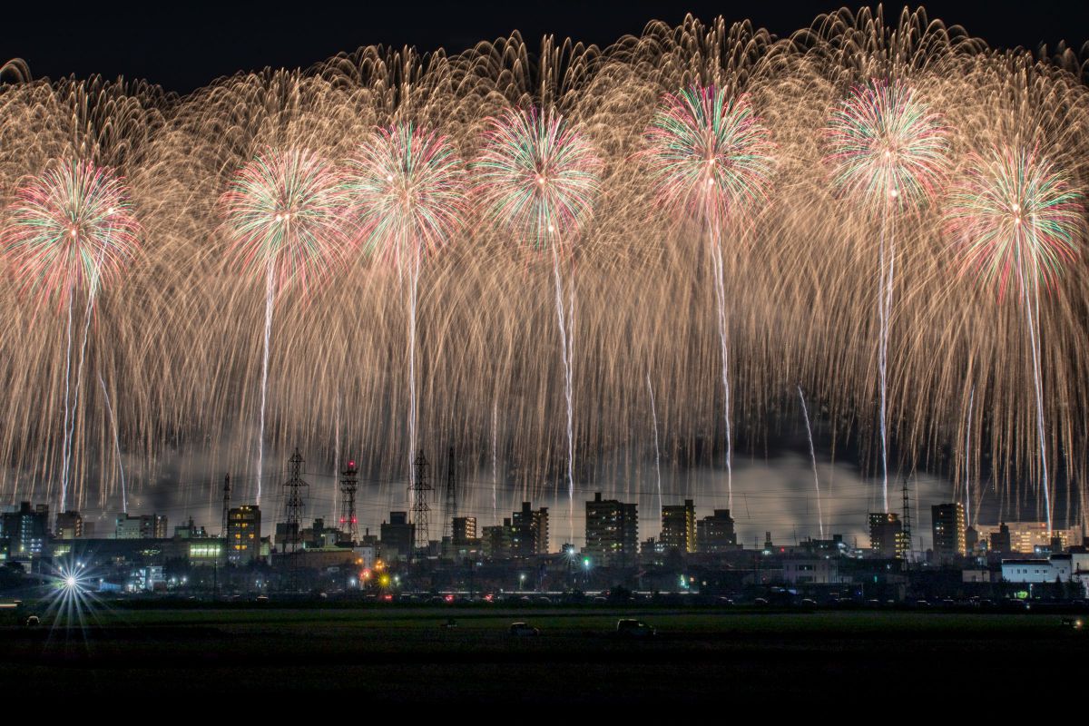 𝐩𝐡𝐨𝐞𝐧𝐢𝐱 | GANREF