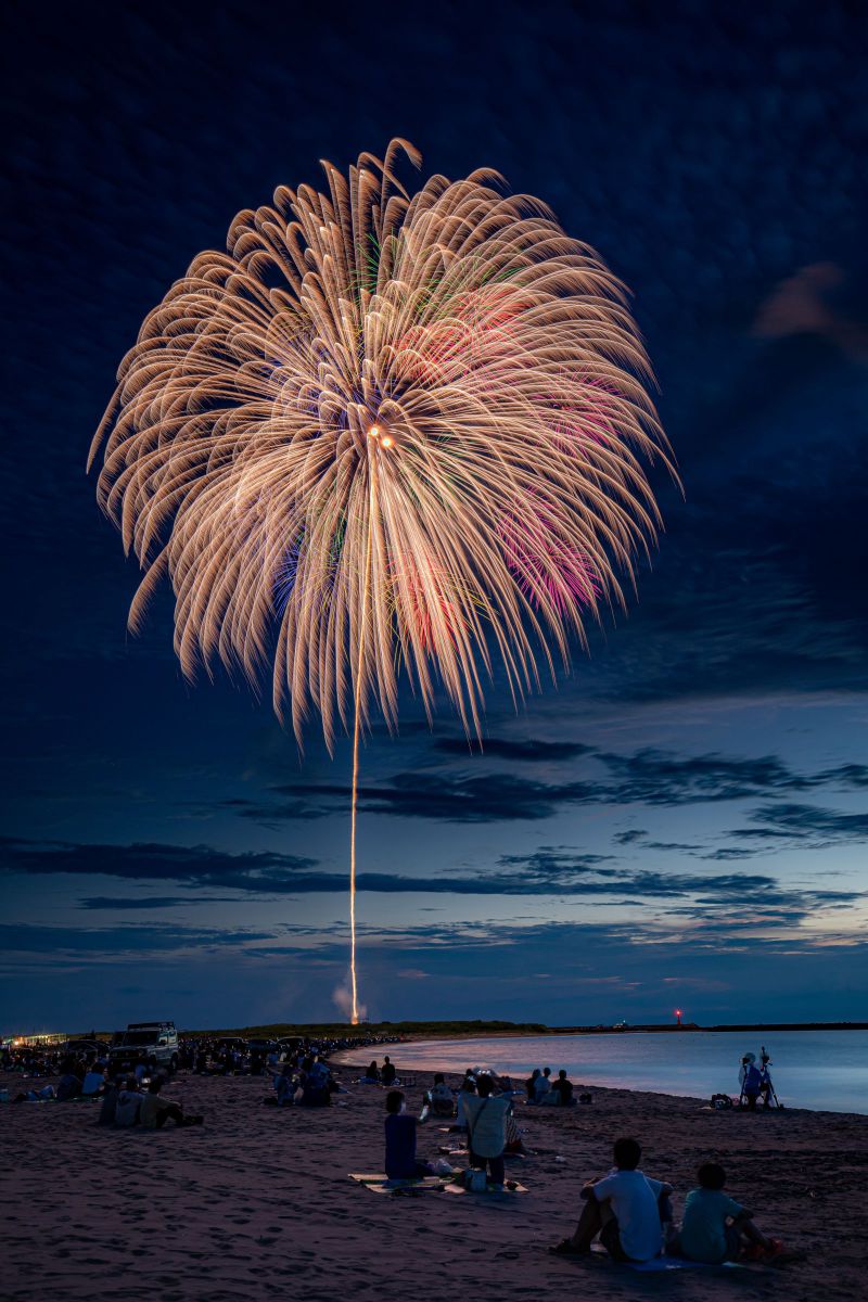 𝚃𝚠𝚒𝚕𝚒𝚐𝚑𝚝 | GANREF