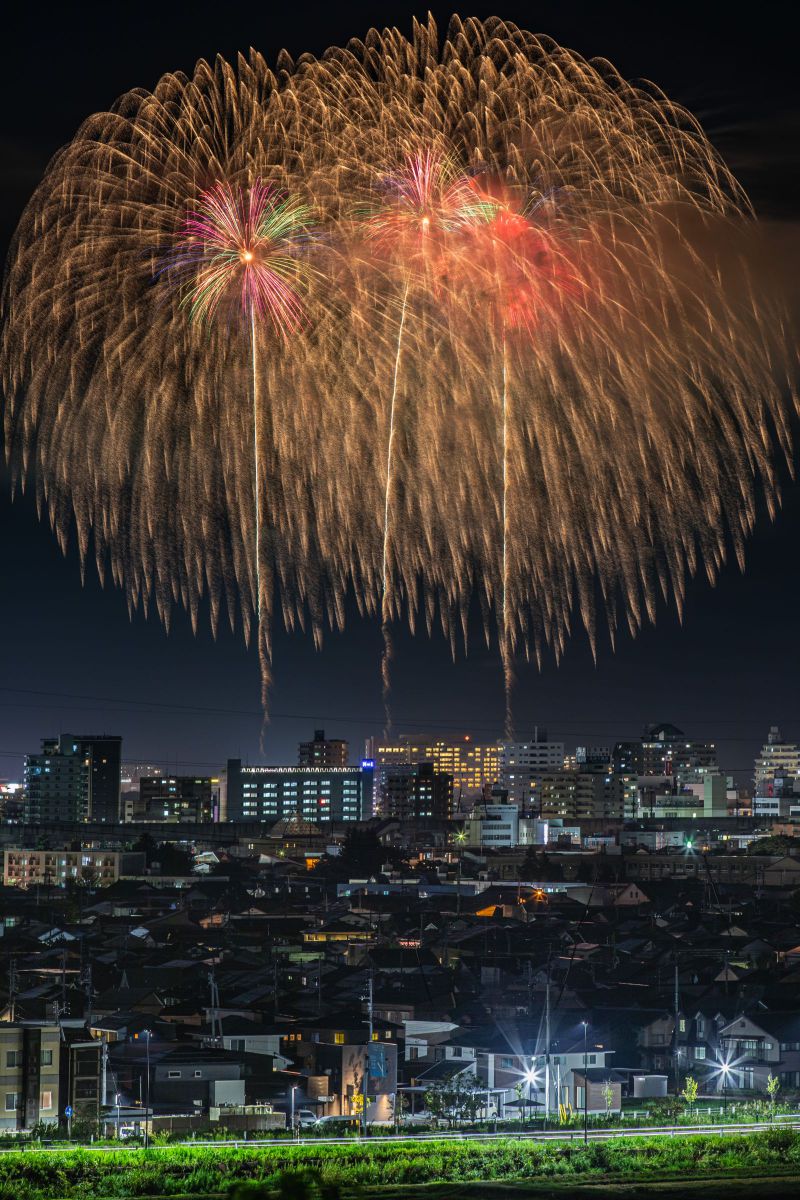 𝚌𝚒𝚝𝚢 𝚘𝚏 𝚏𝚒𝚛𝚎𝚠𝚘𝚛𝚔𝚜 | GANREF