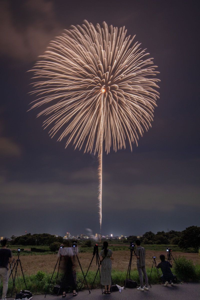 𝚝𝚑𝚎 𝚙𝚎𝚘𝚙𝚕𝚎 𝙸 𝚊𝚍𝚖𝚒𝚛𝚎 | GANREF