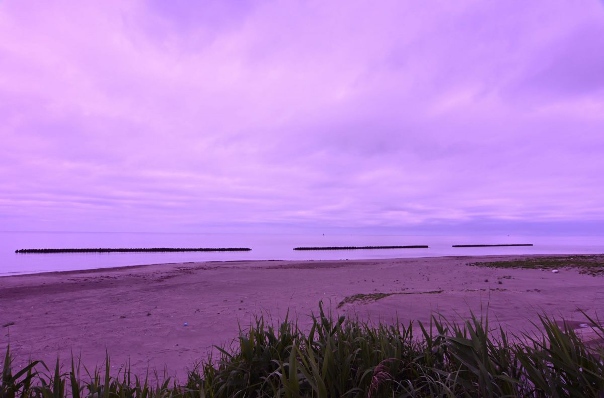 Purple filter | GANREF