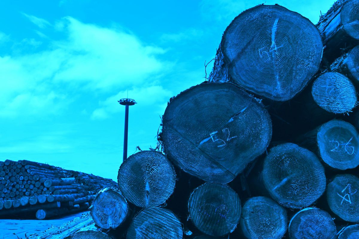 Blue filter | GANREF