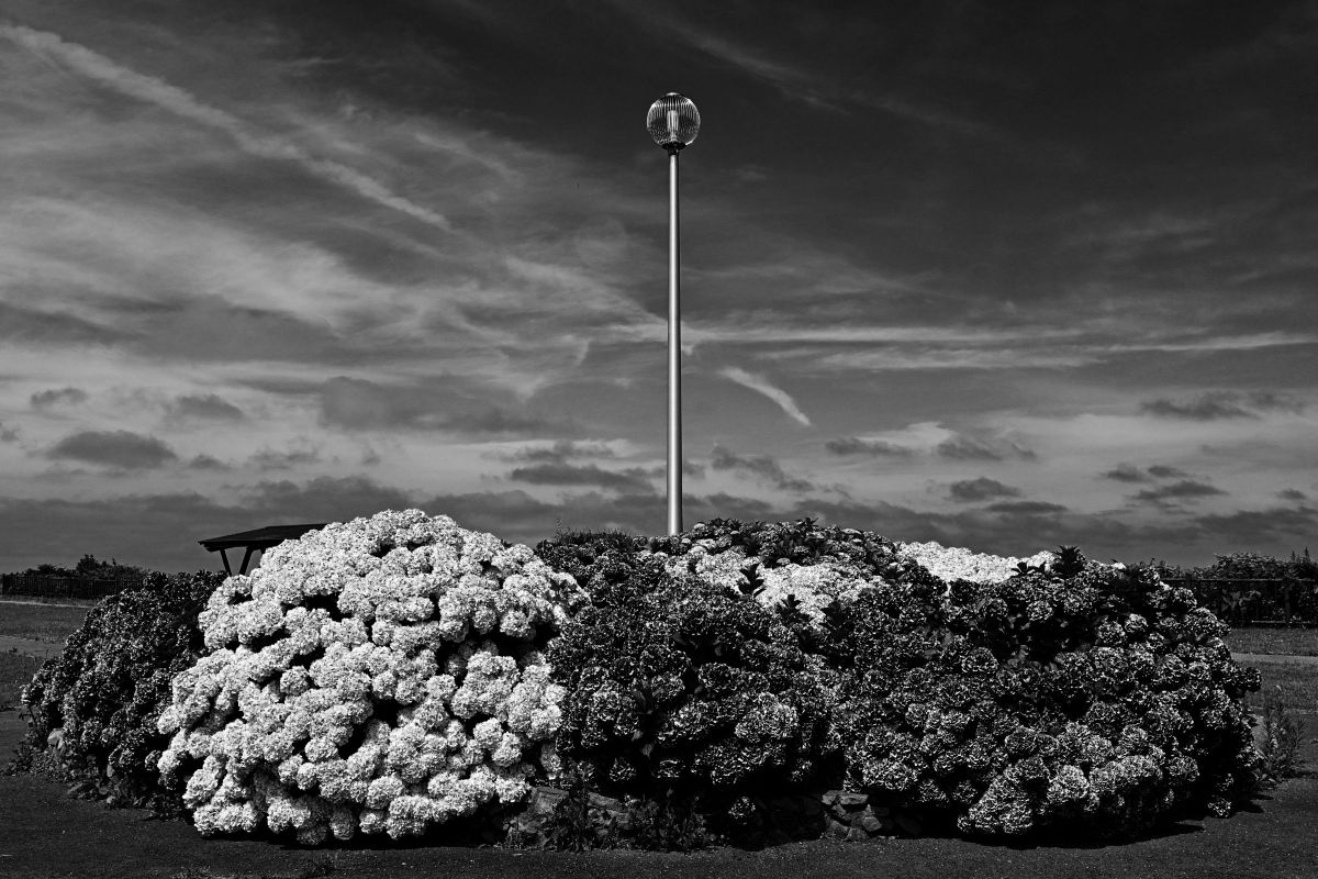 Orange filter → Black and white | GANREF