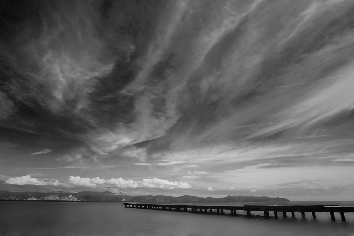 Orange filter → Black and white | GANREF