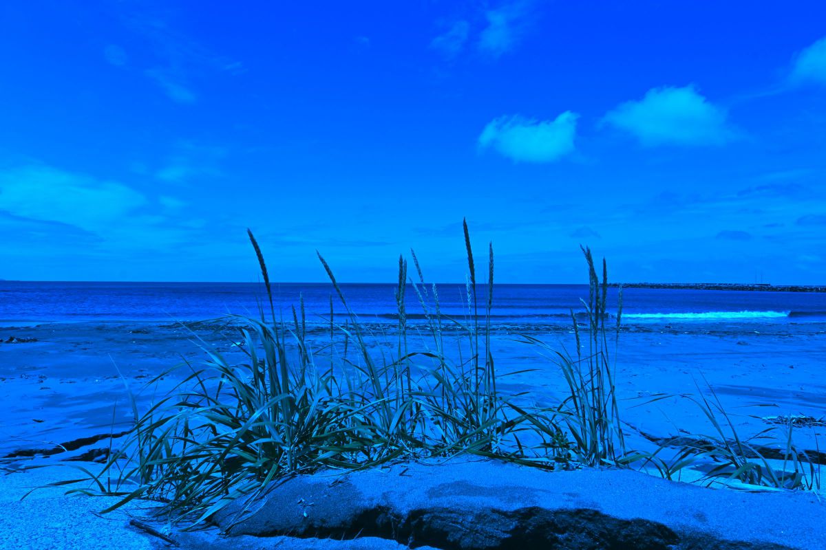 Blue filter | GANREF