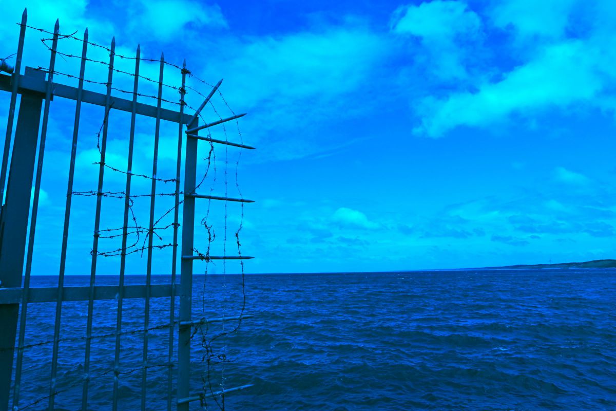 Blue filter | GANREF