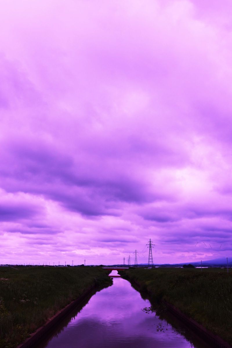 Purple filter | GANREF