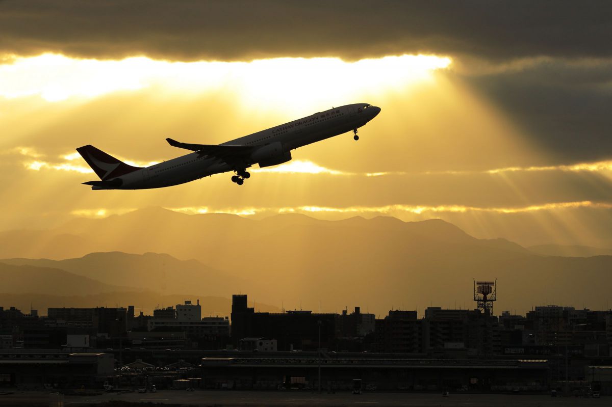 FLYING DRAGON | GANREF