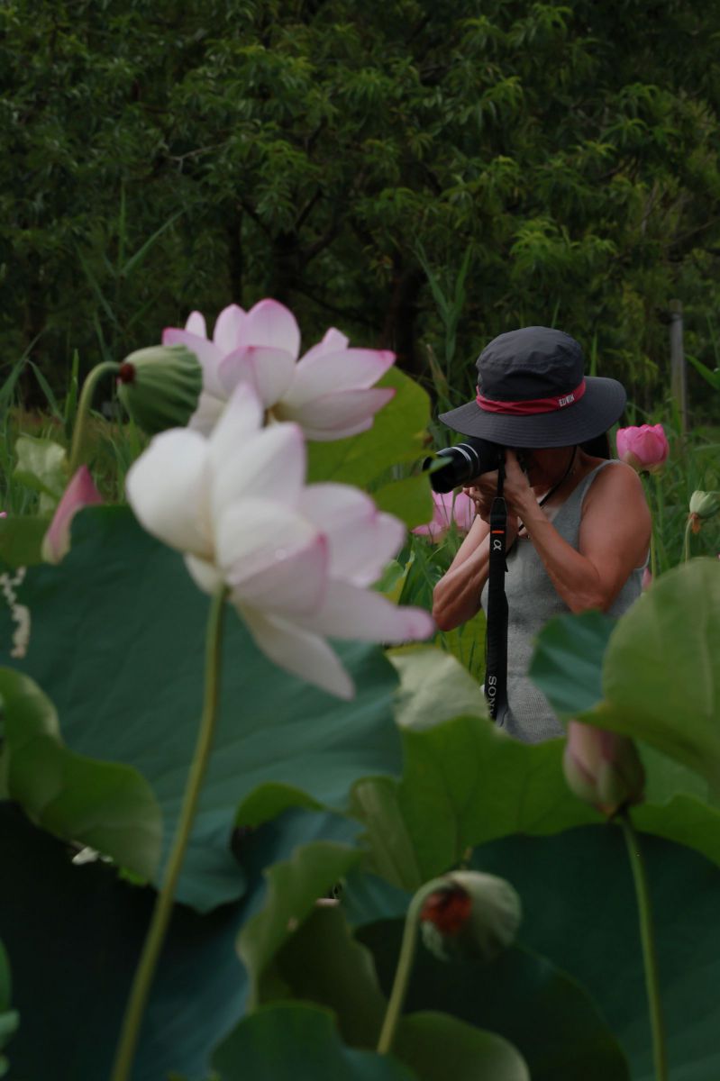 女子カメラマン | GANREF