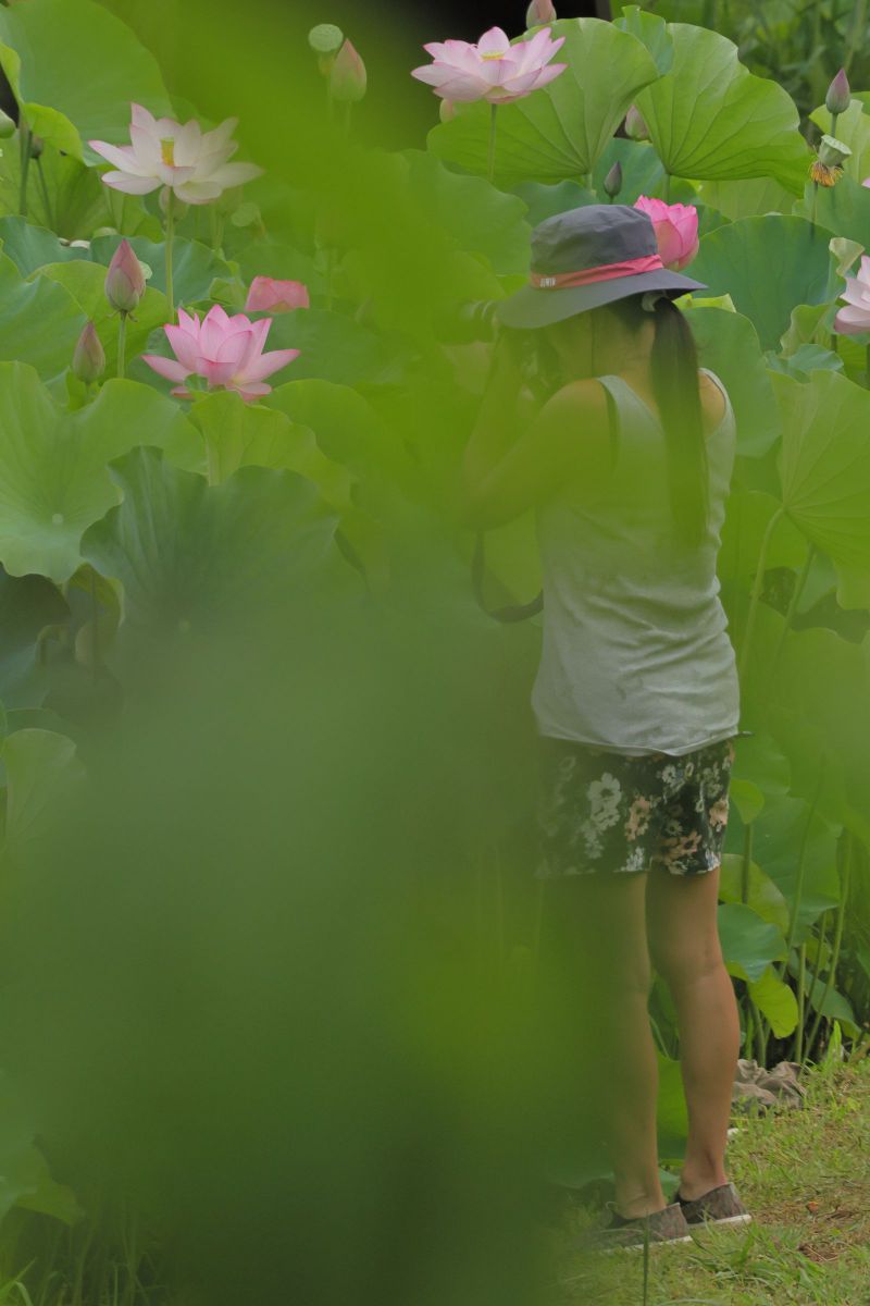 撮影に没頭. | GANREF