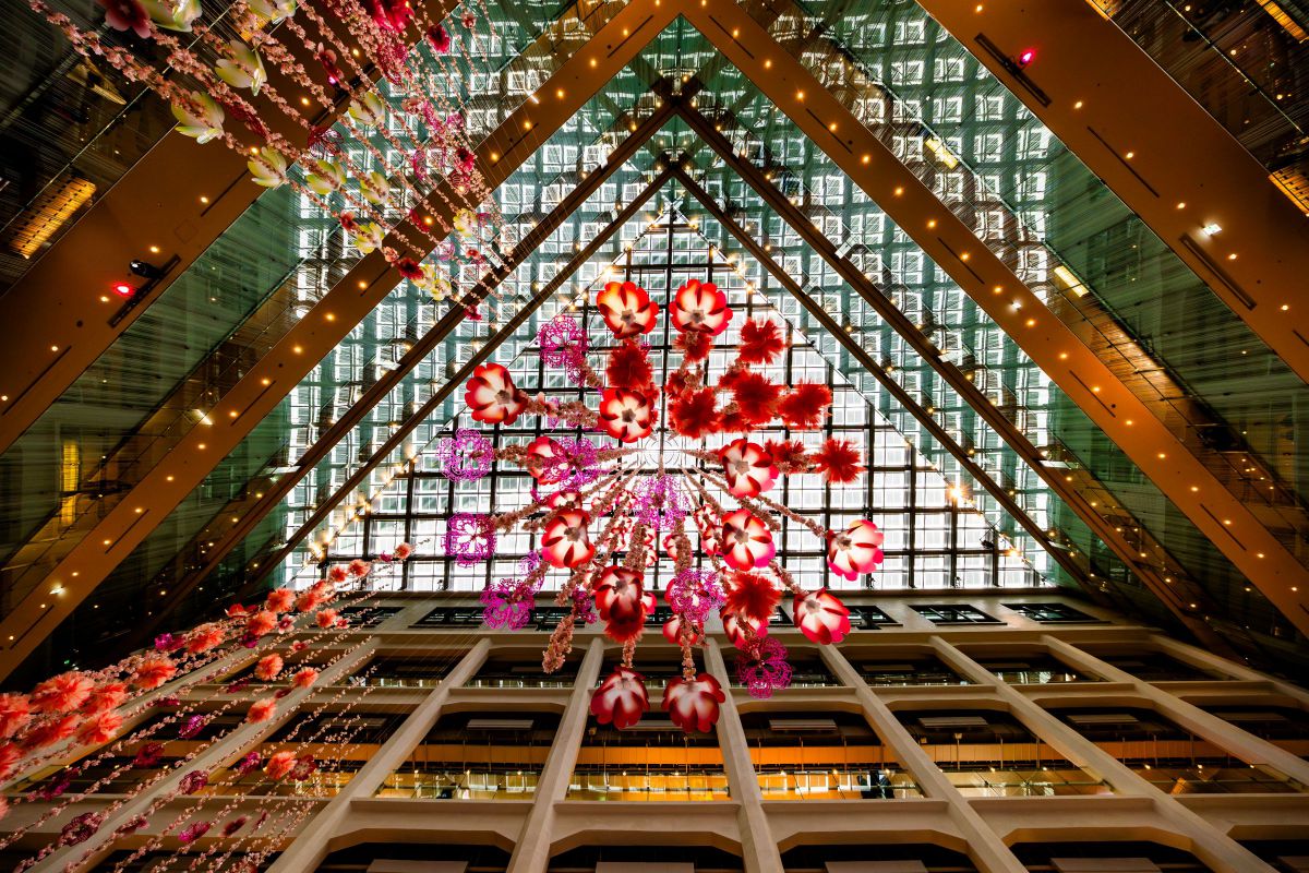 Cherry blossoms dance in KITTE | GANREF