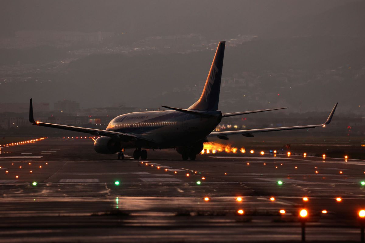 Bitter Orange | GANREF