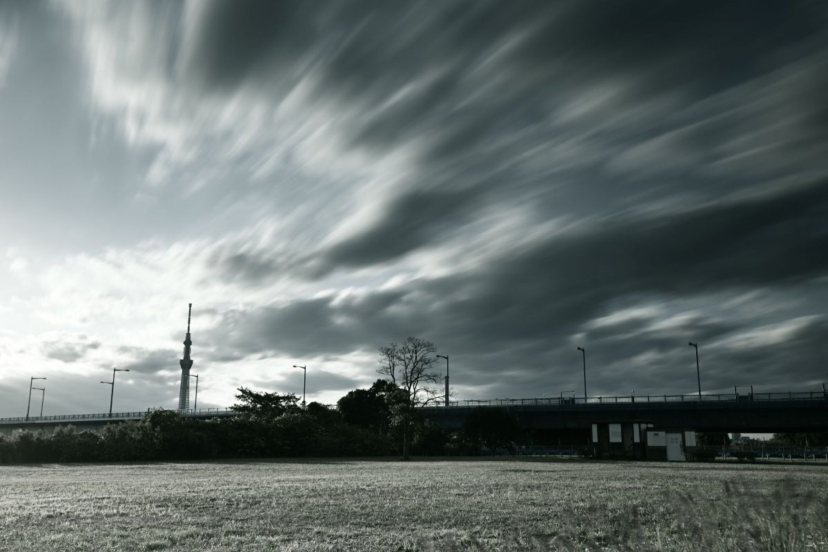 Shine & Storm | GANREF