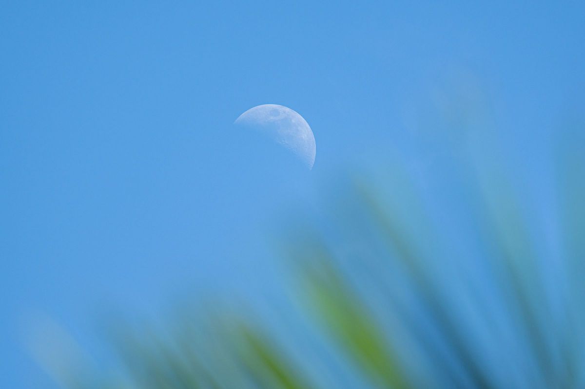 daytime moon | GANREF