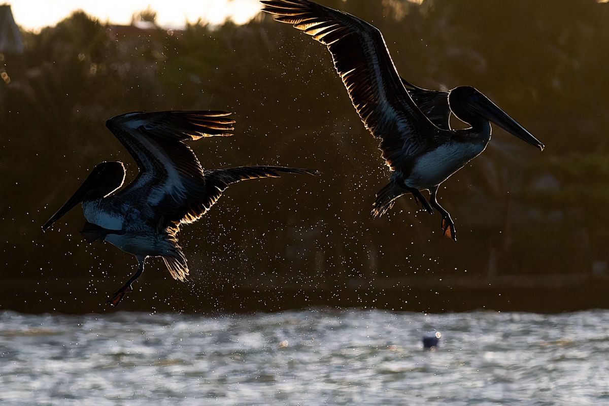 右、それとも左へ？ | GANREF