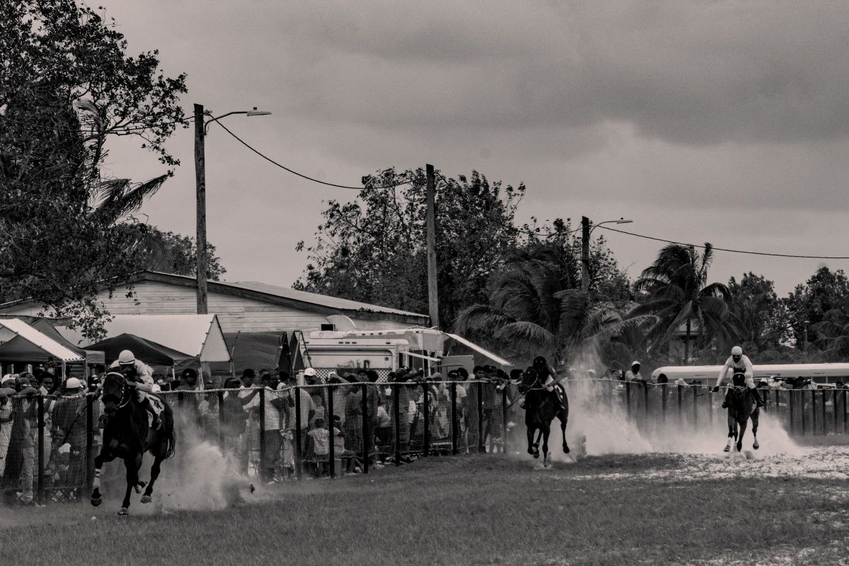 horse race 2 | GANREF