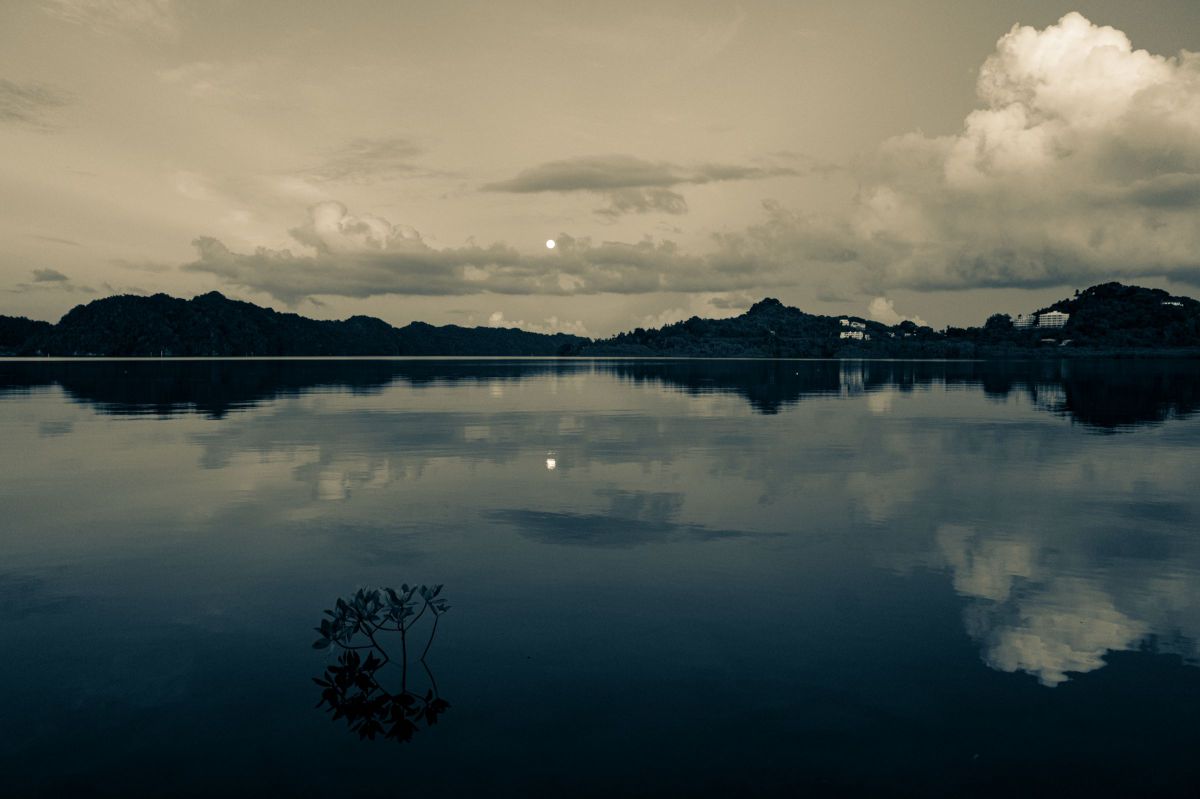 夜明け前 | GANREF