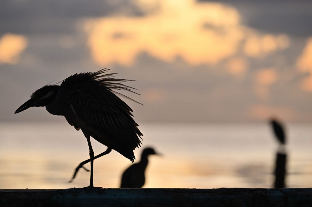 それぞれの場所 | GANREF