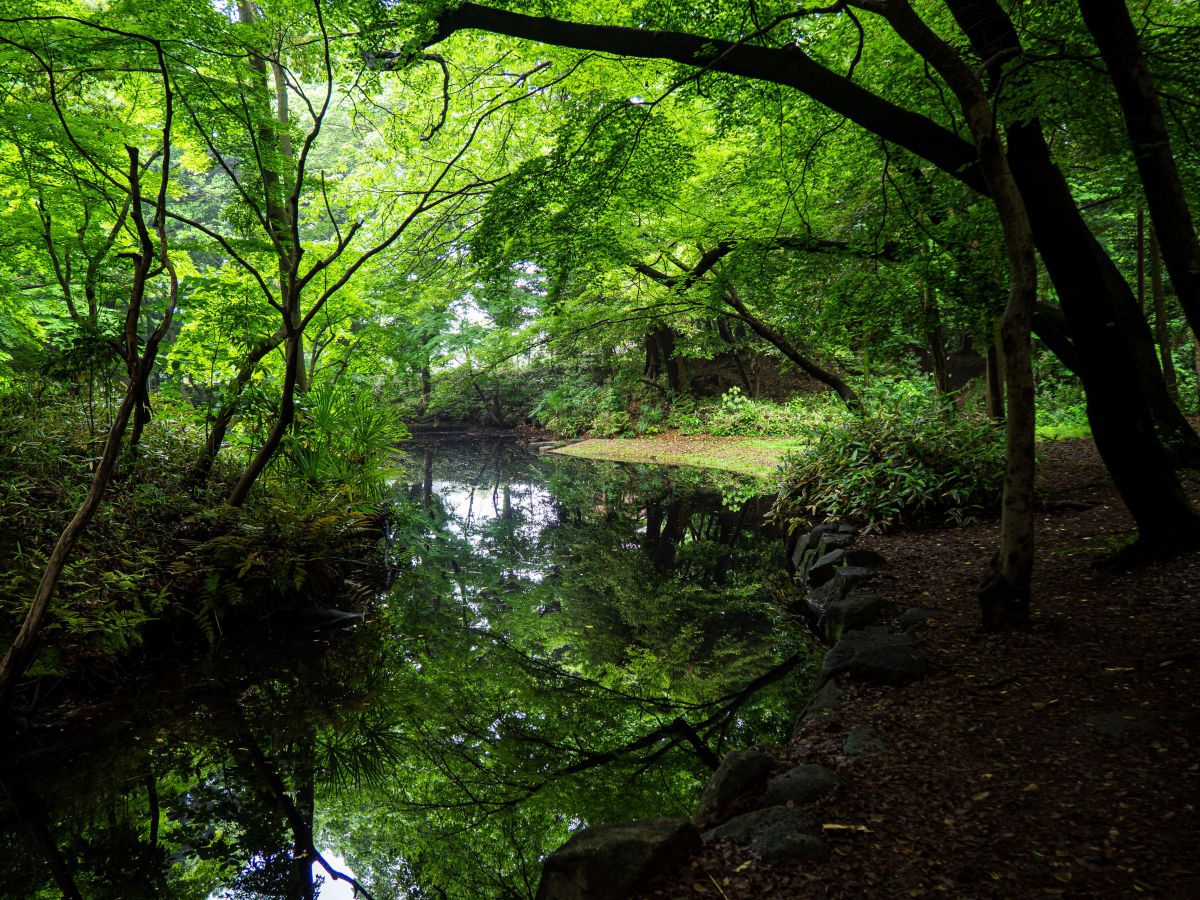 隠れた庭 | GANREF