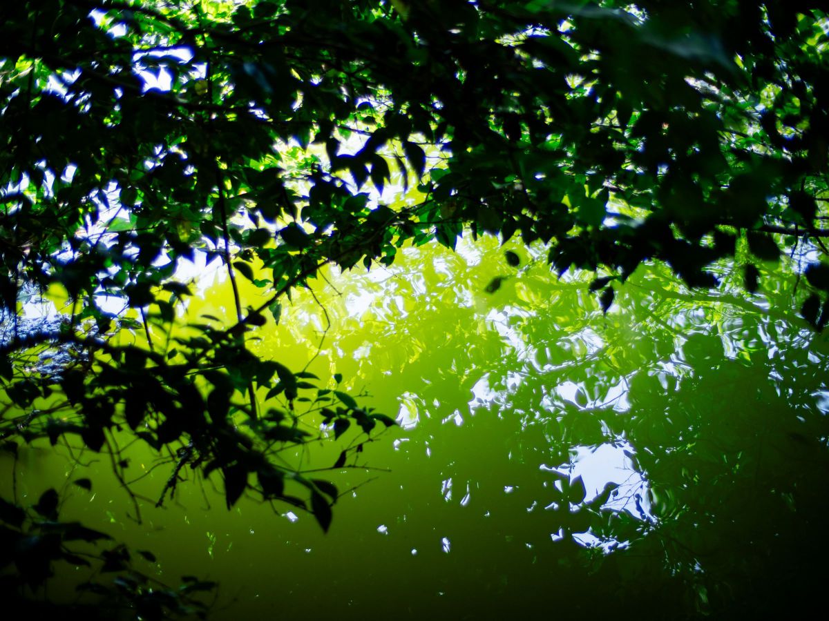 翡翠色の池 | GANREF