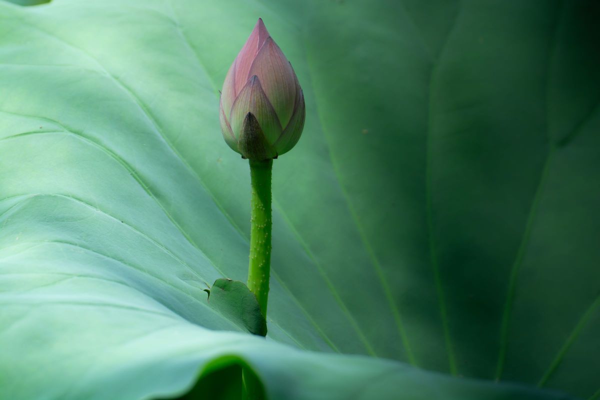 突き破ってる | GANREF