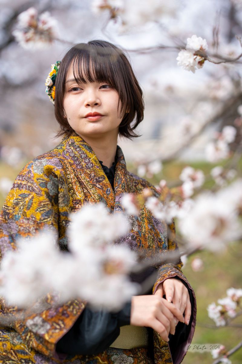 桜とともに | GANREF