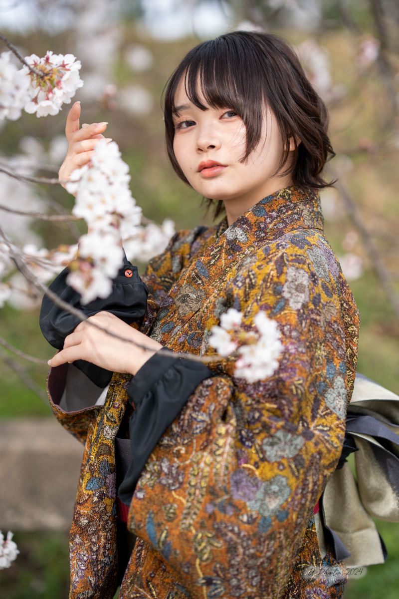 桜とともに | GANREF