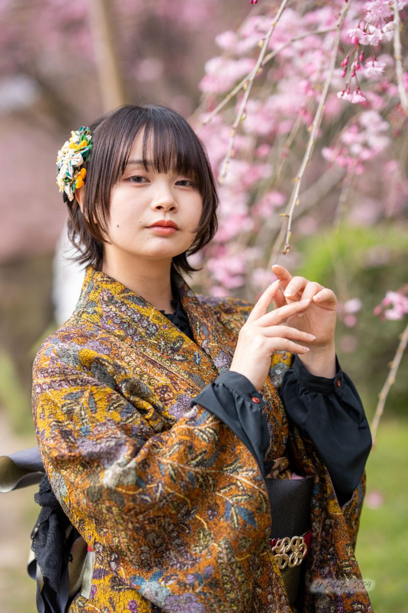 桜とともに | GANREF