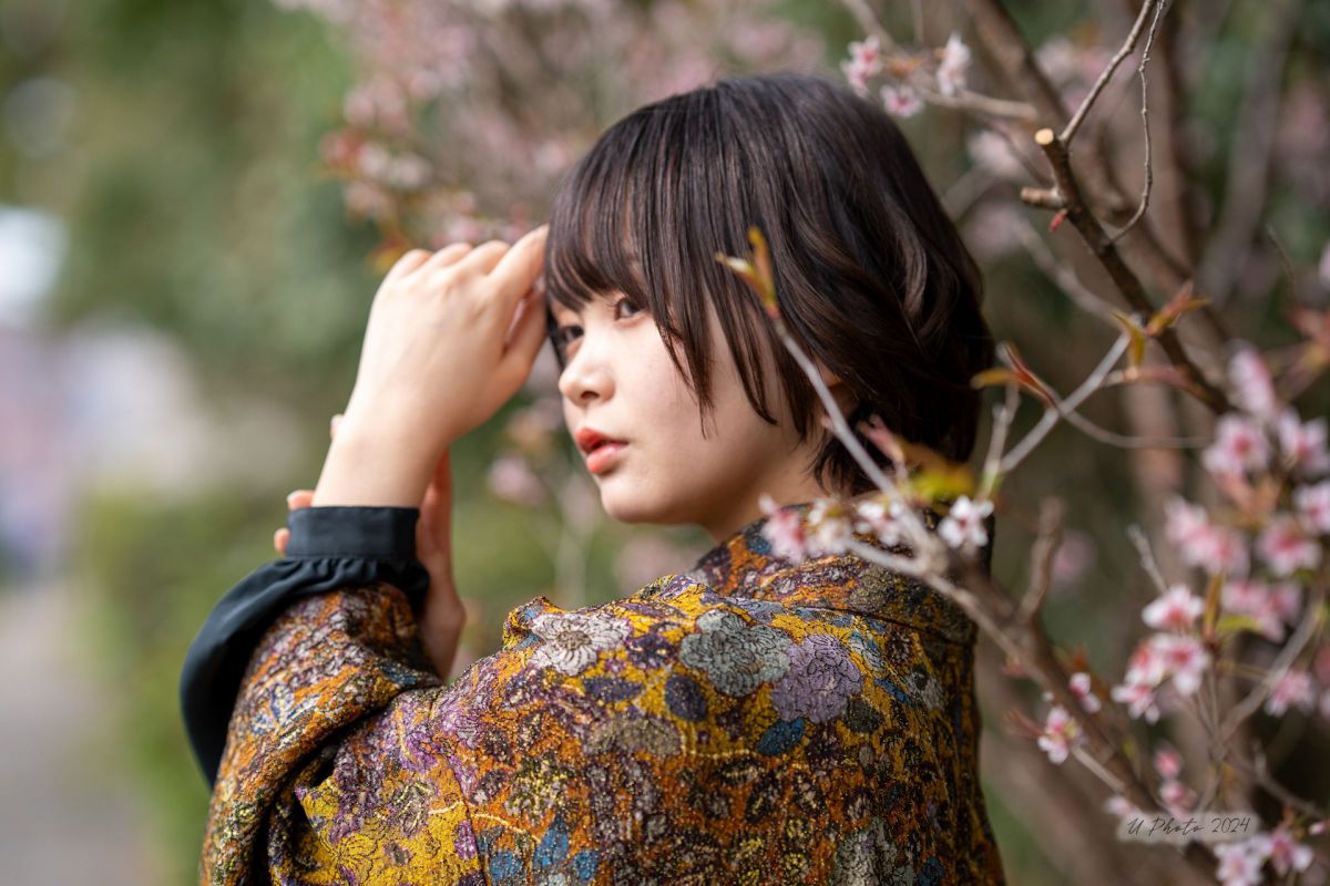 桜とともに | GANREF