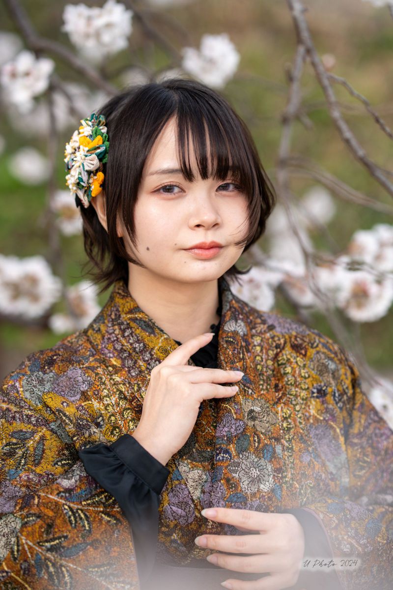 桜とともに | GANREF