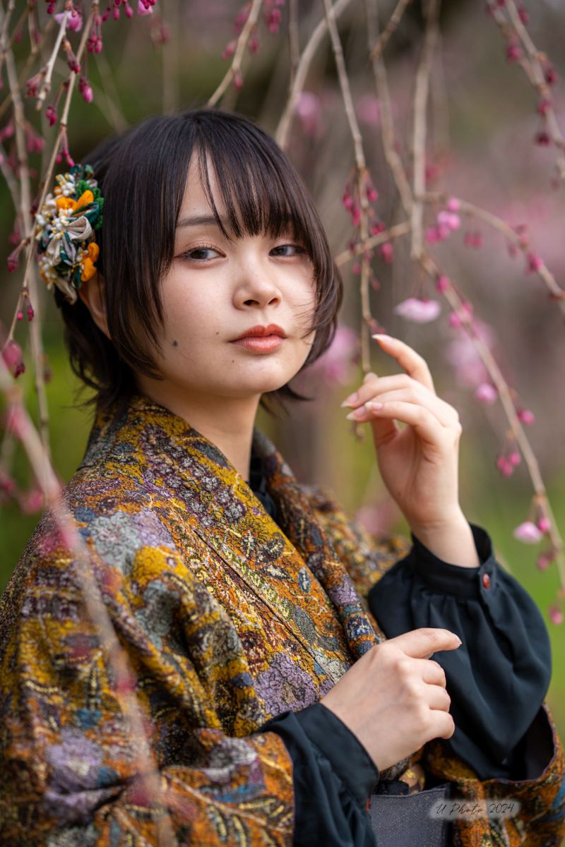 桜とともに | GANREF