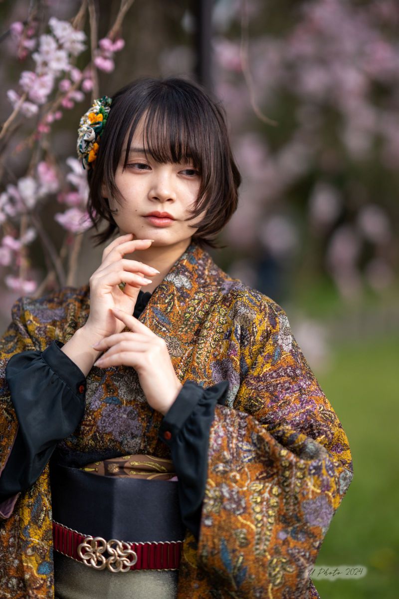 桜とともに | GANREF