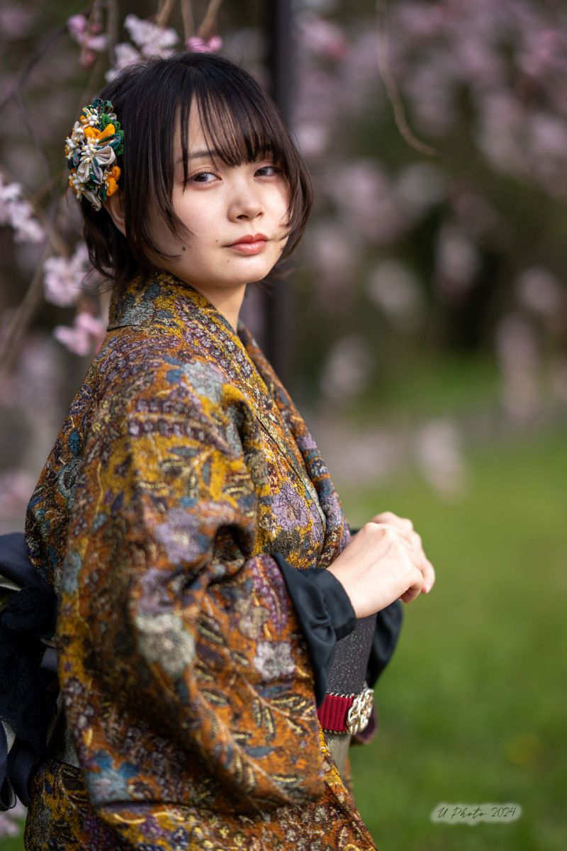 桜とともに | GANREF