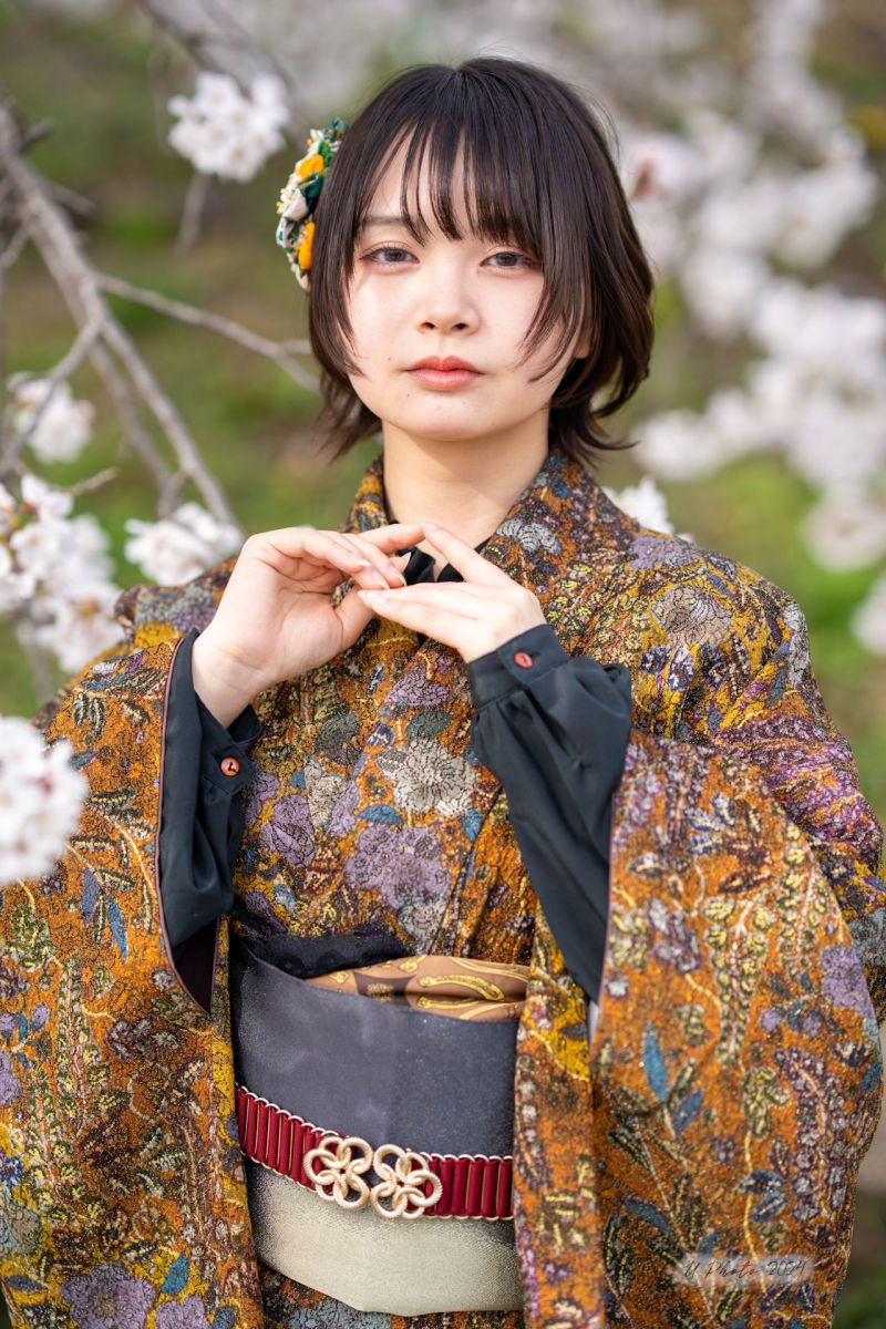 桜とともに | GANREF