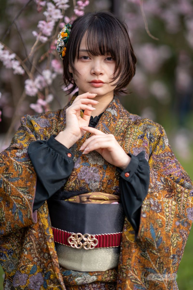 桜とともに | GANREF