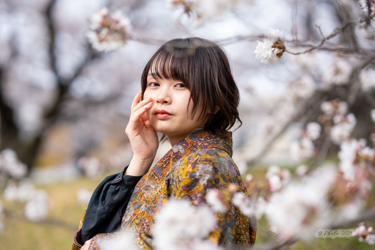 桜とともに | GANREF