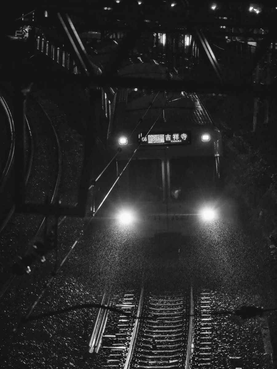 Night T-rain | GANREF