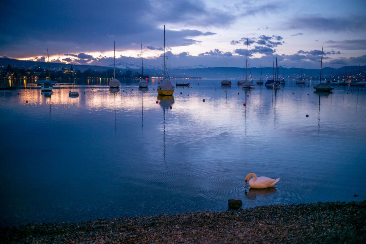 Zurich snap 3 | GANREF