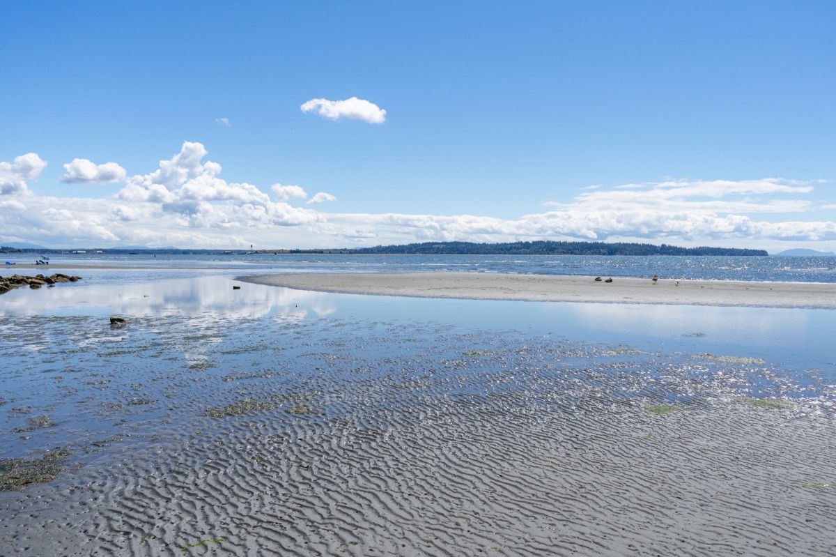 White Rock beach | GANREF