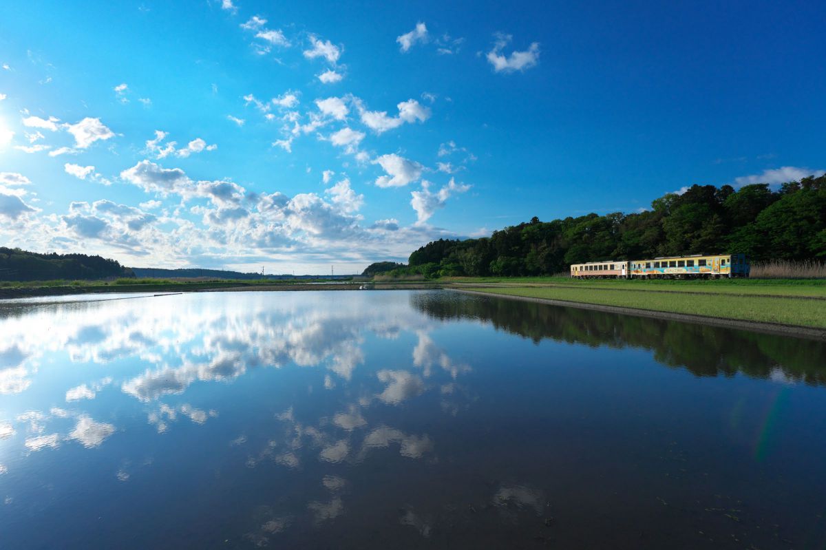 Blue-Sky-Blue | GANREF