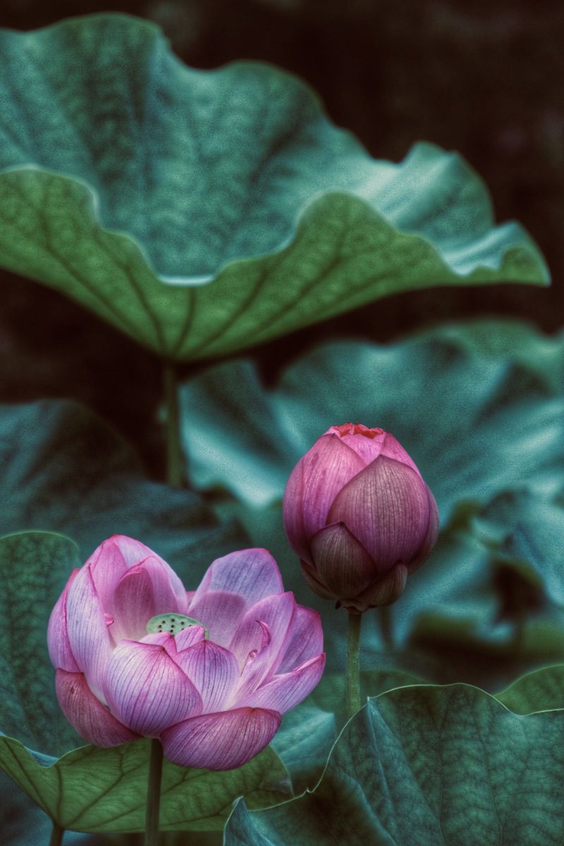 Dramaticなエンドロール | GANREF