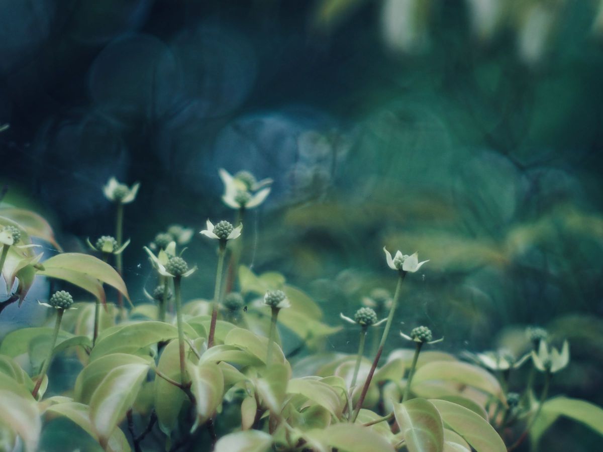 皆んな準備ok 〜♪ | GANREF