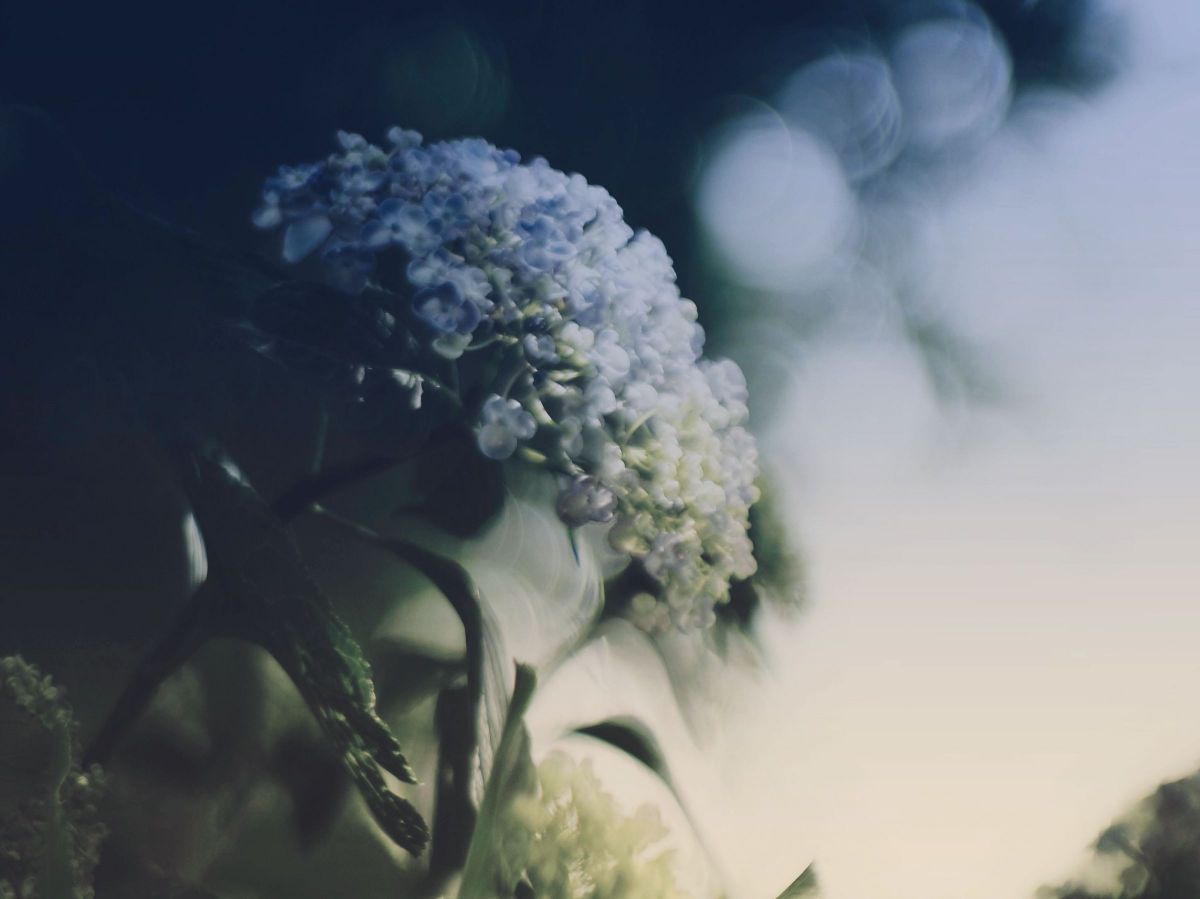 dramatic にそして優しく | GANREF