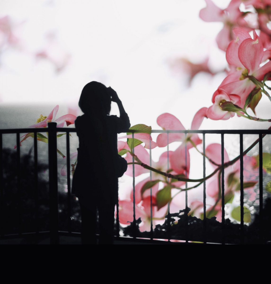 想い出はdramaticに | GANREF