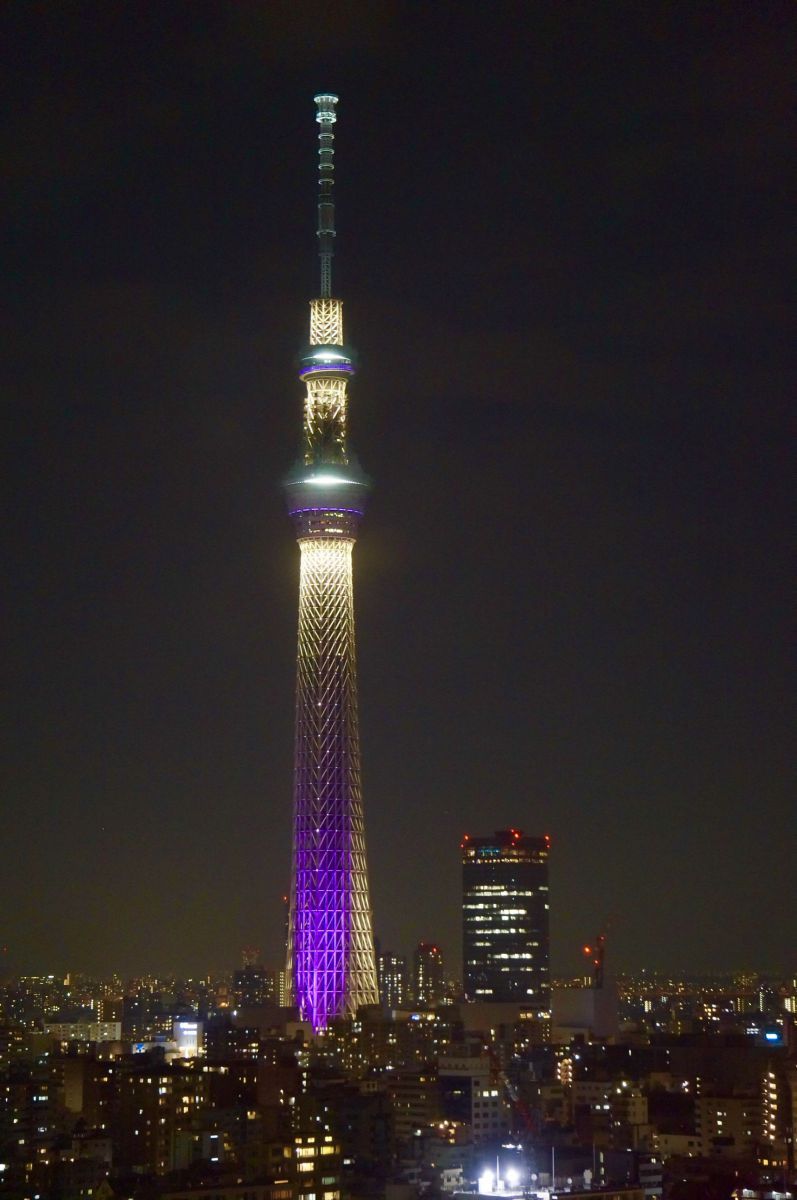 窓からのSKY TREE | GANREF