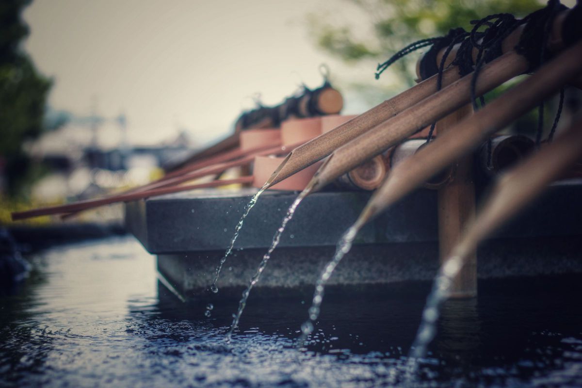 旅* memory | GANREF