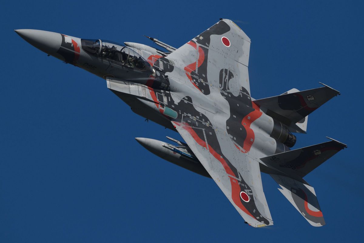 2020 百里基地巡回教導 アグレッサー 095 | GANREF