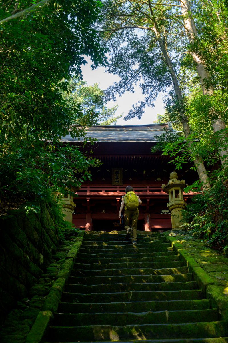 Obsessed with climbing. | GANREF