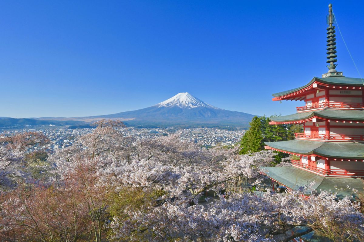 Spring in Japan | GANREF